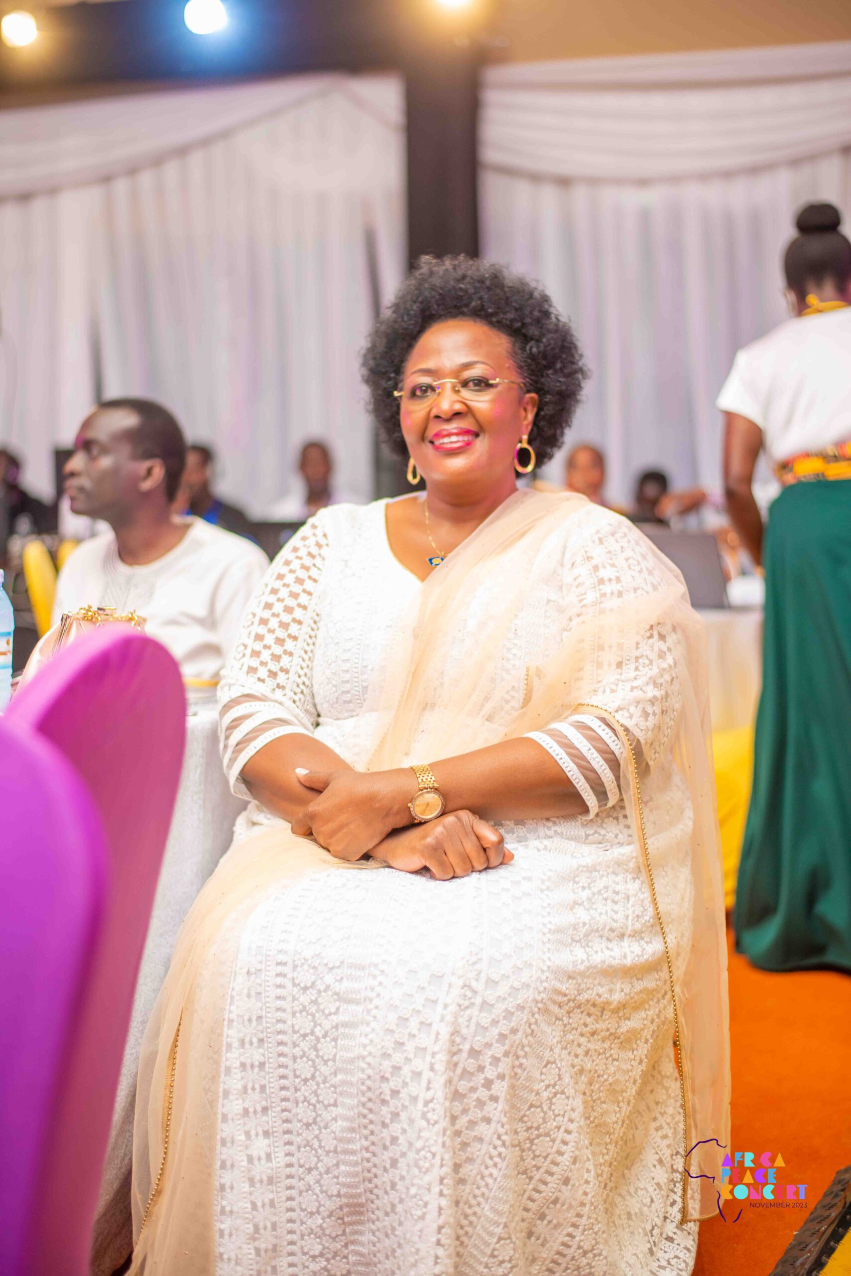 Gallery - Africa Peace Concert